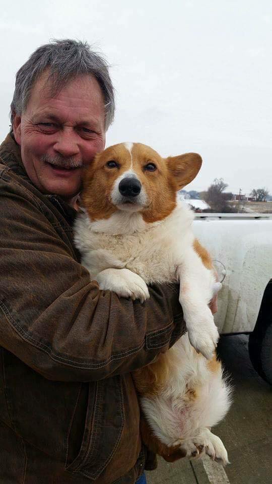 ABOUT US | Corgwyn Rehabilitation Sanctuary